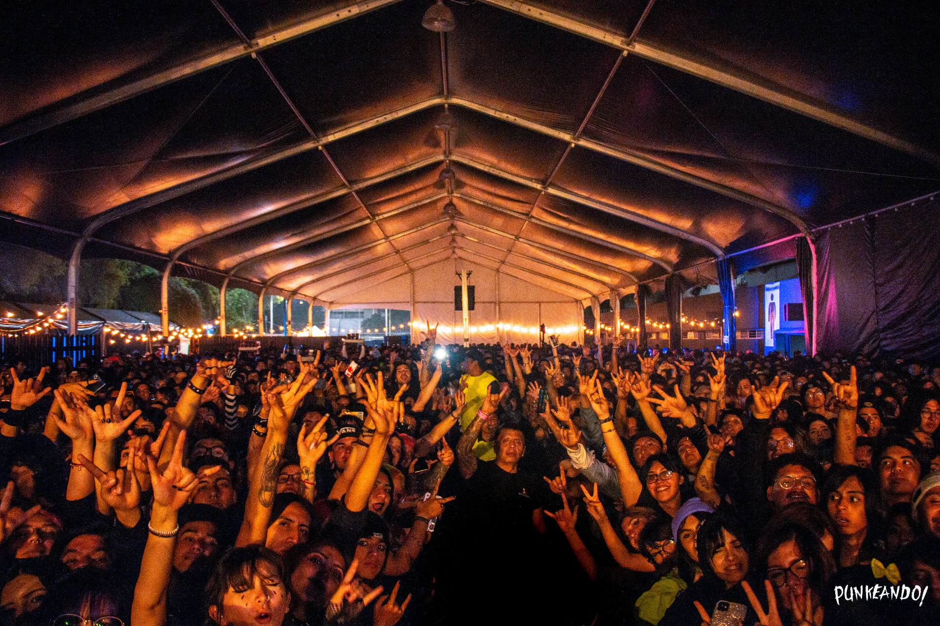 Las Canciones Más Icónicas de “El Rey León” y su Historia - aleteo